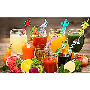 FZR Legend 24 Flamingo Fruit Cactus Reusable Plastic Straws,Hawaiian Beach Cocktail Luau Party Decorations Supplies Favors (24 SET)