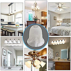 Giluta Bell Shaped Glass Shade, Alabaster Glass Shades Replacement for ceiling fan light wall light and pendant, Lipless with 1-5/8-inch Fitter Opening, 2 Pack