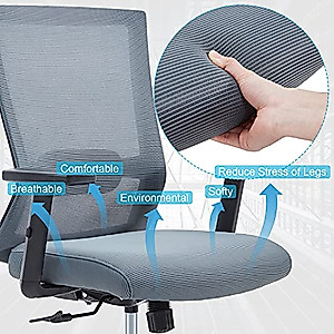Farini Office Chair, Mid-Back Ergonomic Mesh Chair Executive Swivel Desk Chair with Lumbar Support Adjustable Height Arm (Grey)