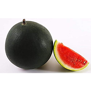 SeedsUP - 30+ Black Beauty Watermelon - Fruit seeds.