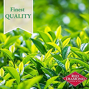 Red Diamond Green Tea Bags, Family Size Tea Bags, Delicious and Freshly Brewed Taste, Heart Healthy Antioxidants, 24 Count Quart-Size Bags (6 Pack - 144 Count)