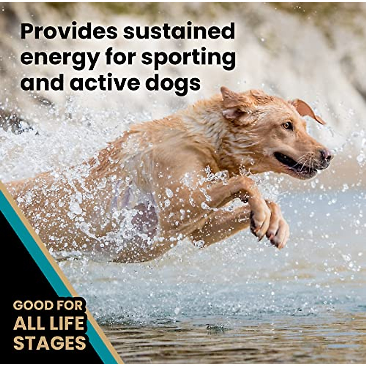 Victor Super Premium Dog Food – Hi-Pro Plus Dry Dog Food – 30% Protein, Gluten Free - for High Energy and Active Dogs & Puppies, 40lbs