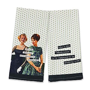 Boston International Anne Taintor Vintage Style Retro Kitchen Gift Cotton Dish Towels Tea Towel Set, 2-Pack, Moderation Who?