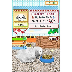 Petz Bunnyz - Nintendo DS