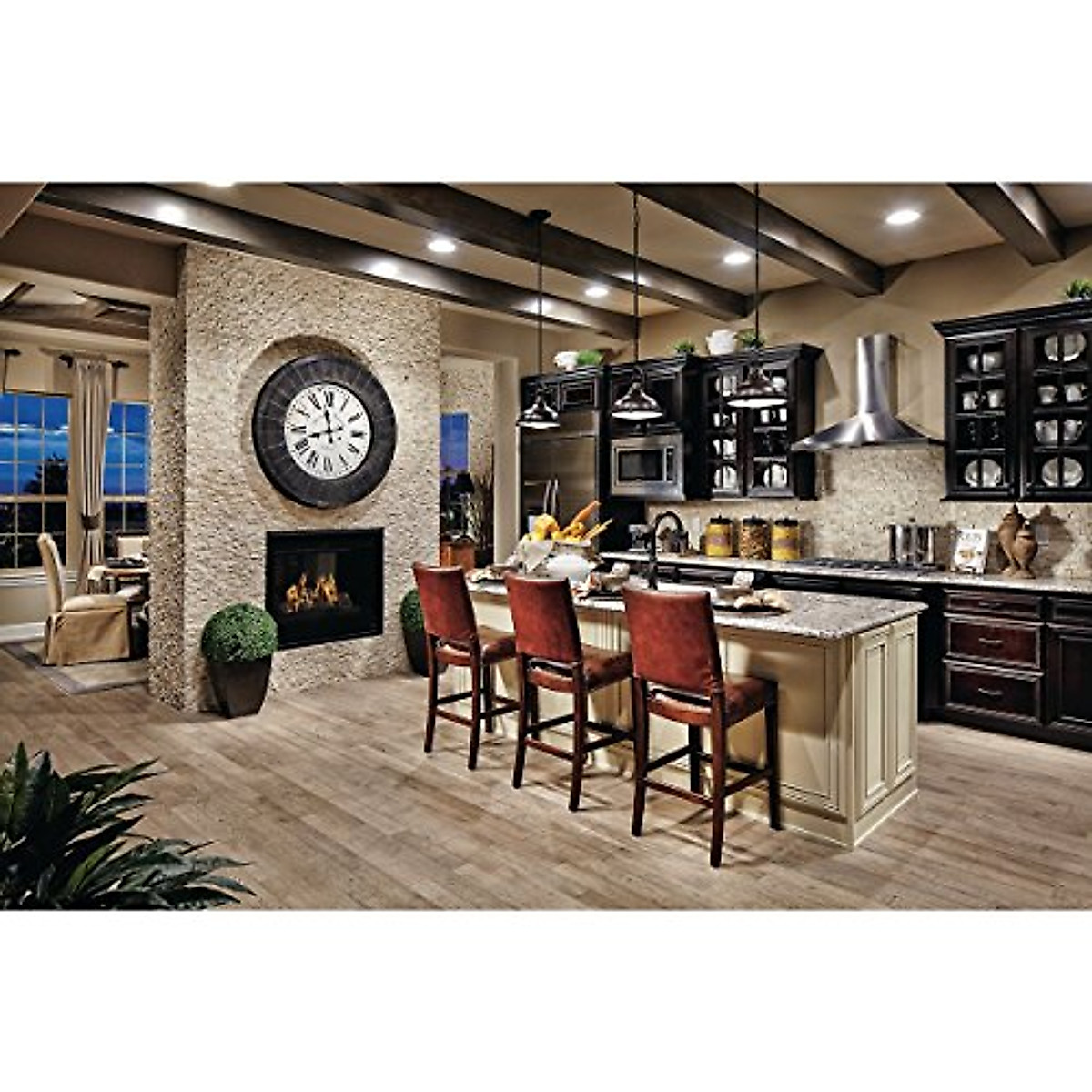 Progress Lighting P5188-108 Fresnel Lens Pendants, Bronze