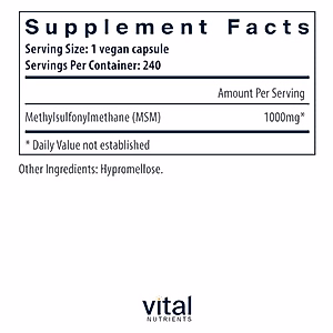 Vital Nutrients - MSM - Natural Form of Organic Sulfur - 240 Vegetarian Capsules per Bottle - 1000 mg
