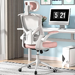 Ergonomic Office Chair, High Back Mesh Desk Chair with Molded Foam Cushion, Adjustable Headrest, Lumbar Support, Lock Function (Petal Pink)