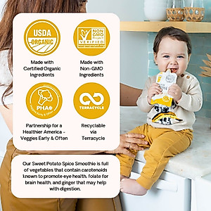 Serenity Kids 6+ Months Dairy-Free Smoothie Baby Food | USDA Organic | Grass Fed Collagen Protein | 3.5 Ounce BPA-Free Pouch | Sweet Potato Spice | 6 Count