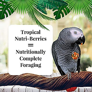 LAFEBER'S Tropical Fruit Nutri-Berries Pet Bird Food, Made with Non-GMO and Human-Grade Ingredients, for Parrots, 20 lb