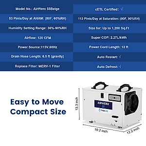BaseAire Basement Crawl Space Dehumidifier 113 Pint with Continuous Drain Hose, Compact Commercial Industrial Home Dehumidifiers for Crawlspace Garage Attic Whole House