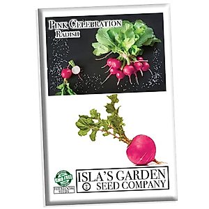 Pink Celebration Radish Seeds, 100+ Heirloom Seeds Per Packet, (Isla's Garden Seeds), Non GMO Seeds, Botanical Name: Raphanus sativus