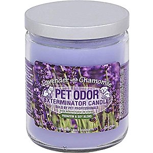 Pet Odor Exterminator Jar Candle - Lavender with Chamomile