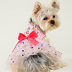 Dog Birthday Dress, Summer Girl Dog Clothes for Small Dogs, Pink Puppy Dress, Chihuahua Yorkie Dress Costume, Pet Clothing Dog Clothes Outfit Cat Apparel (Small)