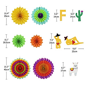 Ecore Fun Banner Mexican Fiesta Theme Party Decor Bachelorette Party Decor Supplies, include Bachelorette Party Fiesta Banner, Glittery Cactus Men Pattern Garland, Fiesta Paper Fans for Party Supplies