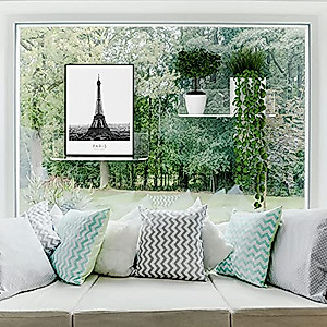 NPPLUS 2 Pack Acrylic Suction Cup Shelf, Tool Free Window Plant Shelves With Legs, 12 Inches Clear Acrylic Indoor Ledge Garden Stand with for Growing Herbs, Microgreens, Succulents,Etc.