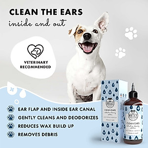 Belly Dog Ear Cleaner - Natural Ear Cleaner for Dogs: for Waxy Ear Canals. Ear Wash for Dogs for Dog Itchy Ears - Dog Ear Wipes Alternative, 8.5 Fl Oz