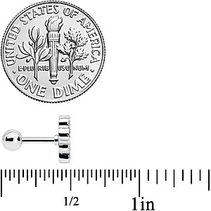 Body Candy 16G Womens 316L Stainless Steel Paw Print Top Ear Cartilage Earring Helix Tragus Jewelry 1/4"