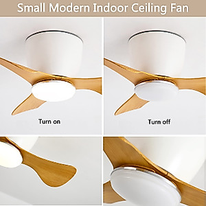 GESUM Flush Mount Ceiling Fans with Lights, 22'' Small Ceiling Fans Remote & APP Control, 3CCT Dimmable, Quiet DC Motor for Patio Kitchen Bedroom