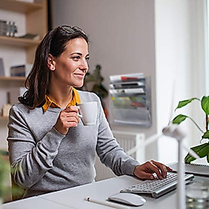 Relaxdays Wall Mount Magazine Rack, 10.5 x 32.5 x 40.5 cm, Silver