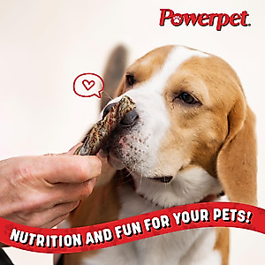 Powerpet Treats Beef Jerky Twists - 100% Natural Dog Chews - High Protein, Low Fat - Made from Premium Beef Esophagus - Promotes Dental Health - Long-Lasting Treats - Great for All Breeds - Pack of 12