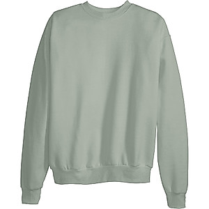 Hanes mens Ecosmart Sweatshirt, Stonewashed Green, X-Large US
