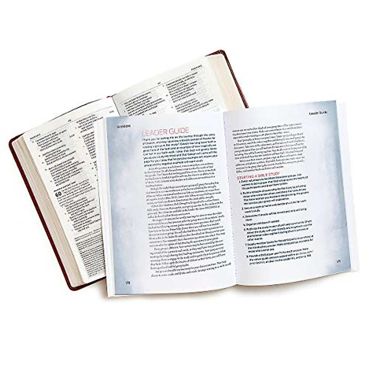 Gideon: Your Weakness. God's Strength. Bible Study Book