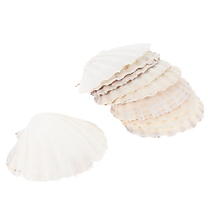 10 Pcs Natural Baking Sea Shells, 5 Inch Baking Shells, Scallop Shells for Serving Food (Random Color)