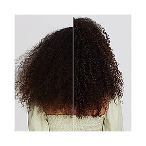 Paul Mitchell Clean Beauty Anti-Frizz Shampoo, Smoothes Hair, Calms Frizz, For Textured, Frizz-Prone Hair, 8.5 fl. oz.