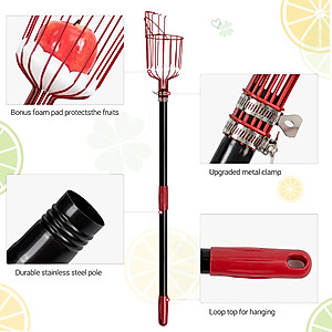 Fruit Picker Pole with Basket - Adjustable Fruits Picker Too for Mango Apple Avocado Orange Cherry Pear Picking, Lightweight Sturdy Fruits Catcher with Extra Carrying Bag