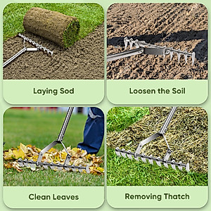 ZZM Thatch Rake, 15.7 Inch Lawn Thatching Rake for Cleaning Dead Grass, Stainless Steel Dethatching Rake with Back-Saving Handle, Grass Rake with Curved Steel Tines for Lawn Loosening Soil, 60" Length