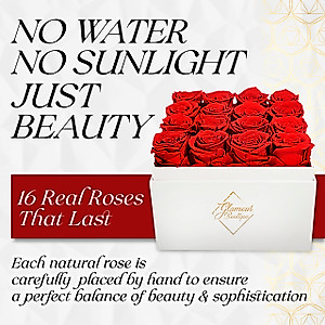 GLAMOUR BOUTIQUE Preserved Roses in a Box - Valentines Day Gifts for Her, wife & Mom, 16-Piece Rose Forever Flowers Decor for Birthday Gift, Get Well Flower Bouquet Cased in White Box with Cover - Red