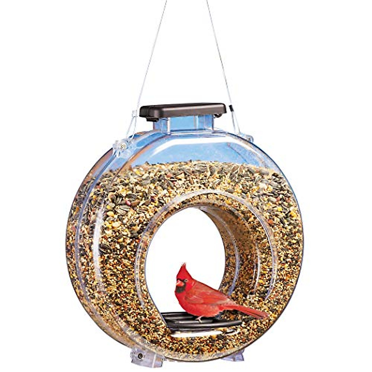 Collections Etc Clear Canteen Style Fly Through Bird Feeder | See Through Design | Two Feeding Stations | Top Fill Feeder | Wire Hanger Included | Double Perch | Plastic