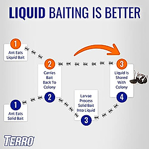 TERRO T200-3SR Liquid Ant Killer – 3 Pack