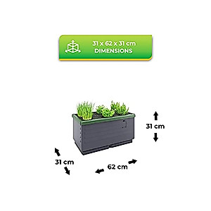 Bio Green JGL City Jungle Basic Model Plant Support, Charcoal Grey/Green