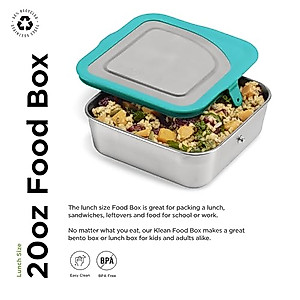 Klean Kanteen Lunch Food Box 20oz Agave Mint