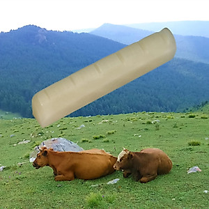 Miwayer 6 String YMH Acoustic Guitar Unbleached Bone Nut, Guitar Bridge Nuts, Cut from Whole Bones, 43x5x9mm (6 String YMH Guitar Nut 43mm 2 Pack)