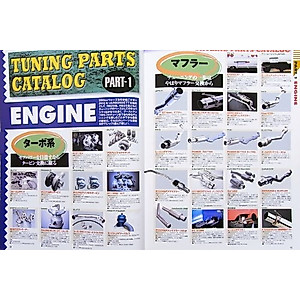 SKYLINE TYPE M & GT-R STREET PERFECT TUNING R32 R33 R34 (Japan Import)