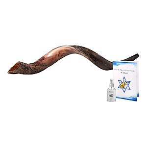 40"- 42" Extra Large Yemenite Kudu Horn Half Polished Finish and Half Natural Shofar, with Free Anti Odor Spray and Bag, Made in Israel