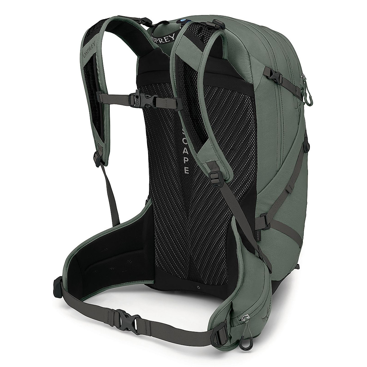 Osprey Sportlite 25L Unisex Hiking Backpack, Pine Leaf Green, M/L