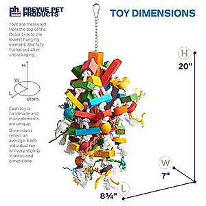 Prevue Pet Products Physical & Mental Bodacious Bites Wizard Bird Toy 60962