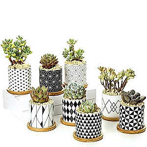 FURLOU Pottery Planter,Small Plant pots,Geometric Pattern Ceramic Succulent Small Ceramic Pot Ceramic Flower Green Plant Container Planter Classic Round Shape Planter Beautiful Scenery (Co Flower (Co