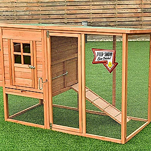 Bigtime Signs Peep Show Live Chicken Decor PVC 11"x9.5''- Chicken Coop Accessories - Chicken Gifts for Chicken Lovers, Chicken Brooder | Funny Chicken Decor for chicken feeder and chicken nesting box