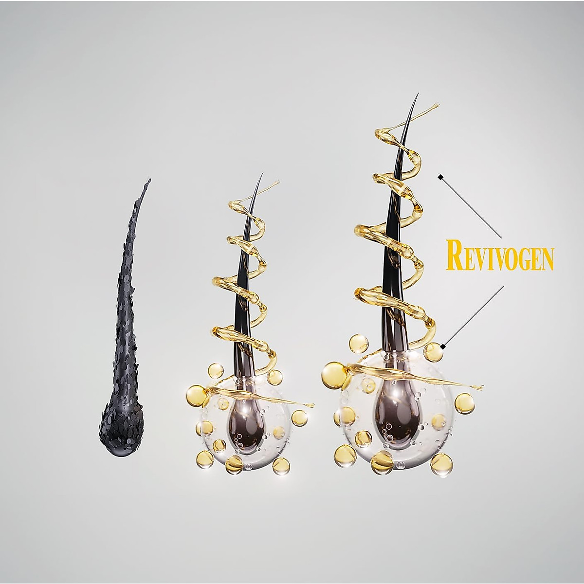 Revivogen MD Bio-Cleansing Shampoo for Thinning Hair, DHT Blocker Shampoo, Hair Loss Shampoo, Shampoo Thinning Hair, Soothes Scalp, Routine Shampoo for Women/Men Hair Loss, Hair Shampoo, 12oz, 2pk