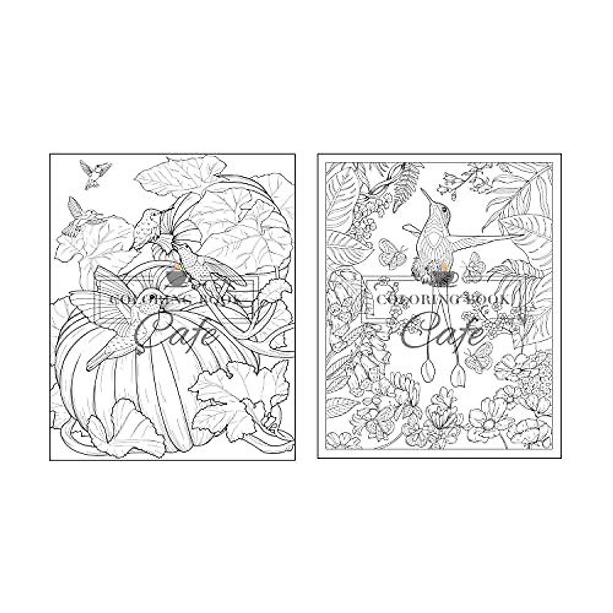Hummingbird Coloring Book: An Adult Coloring Book Featuring Charming Hummingbirds, Beautiful Flowers and Nature Patterns for Stress Relief and Relaxation