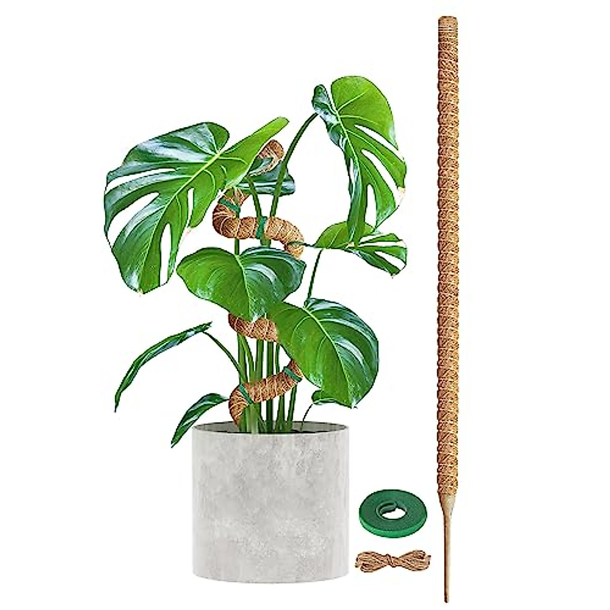 47 Inch Moss Pole for Plants Monstera, Bendable Plant Stakes for Climbing Plants, Monstera Moss Pole, Bendable Coco Coir Plant Support, Plant Sticks Support for Indoor Plants (1 Pack)