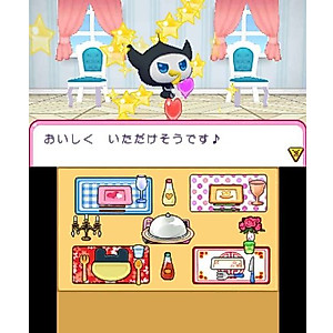 Tamagotchi Daily Ouchi [Japan Import]