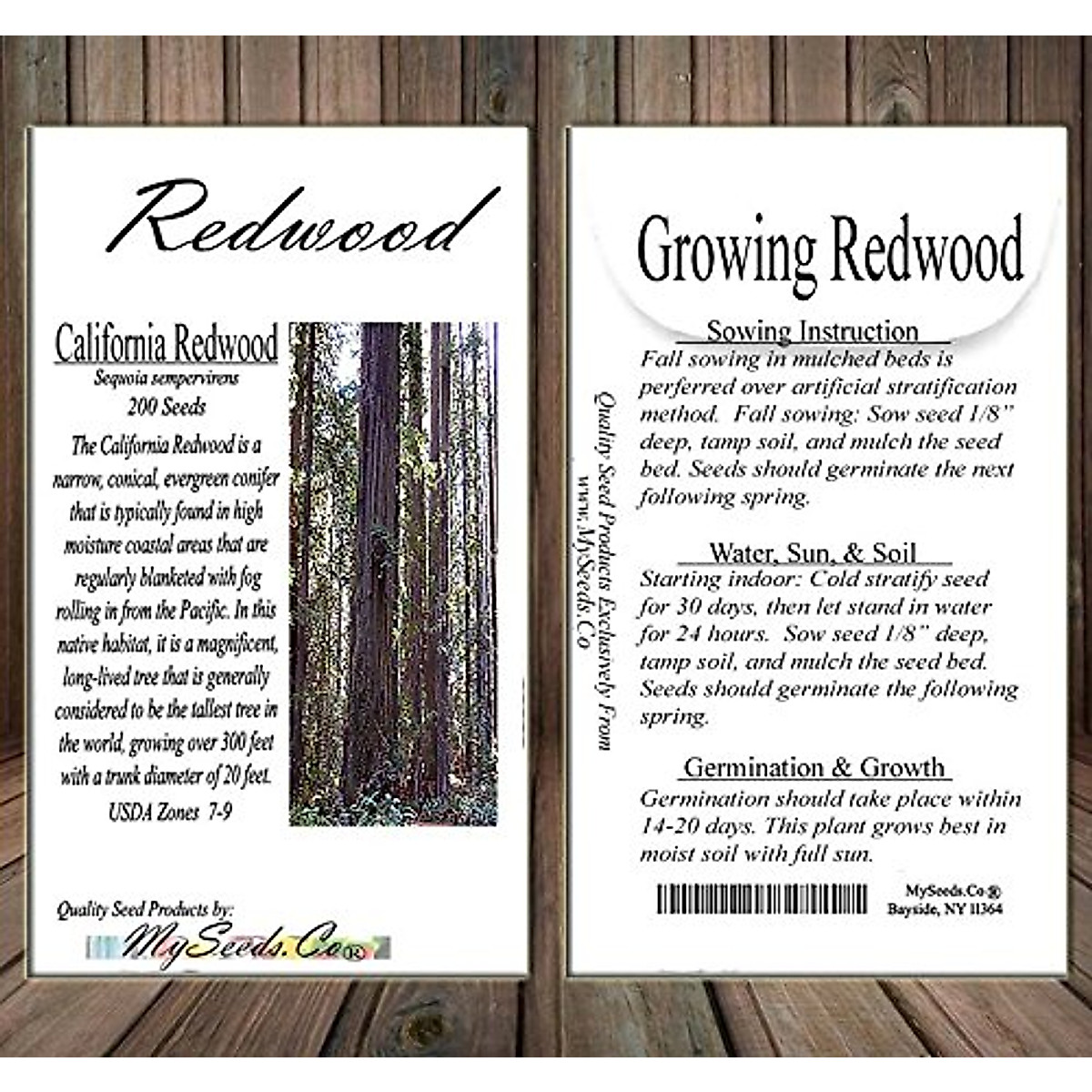 Cedar, Dogwood, Pine, Redwood, Spruce, Tree Seed by MySeeds.Co, You Choose The Color n Quantity (1 Pack, California Redwood - Big Pack)