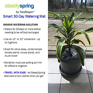 SteadySpring® Smart 30+Day Watering Mat for 10 in to 12 in Containers for Houseplants, Annuals, Herbs, Trees, Tomatoes - Self-Filling, Lasts 30+ Days, Automatic Irrigation Mat (2-Pack)