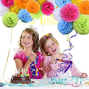 Livder Paper Flowers Bright Colorful Tissue Paper Pom Poms for Party Birthday Wedding Christmas Festive Decorations, 15 Pieces of 10, 12, 14 Inch