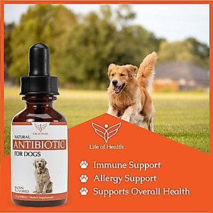 Natural Antibiotics for Dogs | Dog Antibiotics | Dog Ear Infection Treatment | Dog Itch Relief | Yeast Infection Treatment for Dogs | Dog Antibiotic | Pet Antibiotics | Antibiotic for Dogs | 1 oz